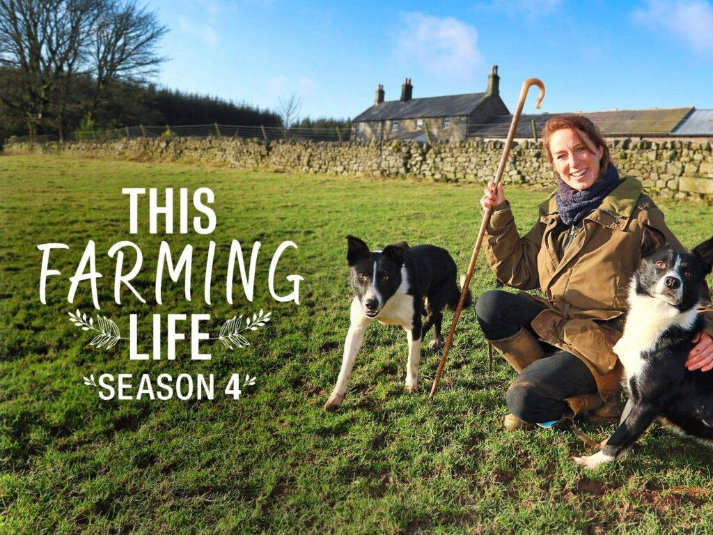 This Farming Life - Ardros Farm